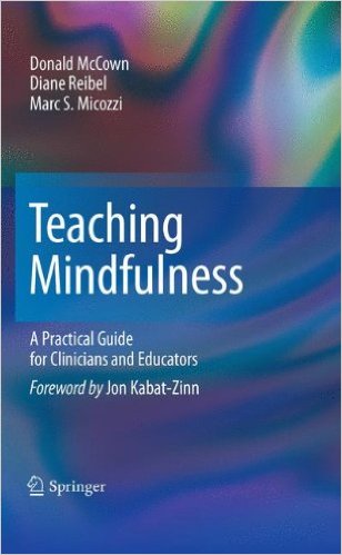 Teaching Mindfulness – FINN JANNING